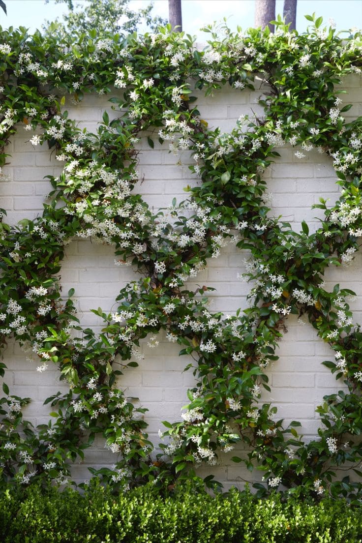 How To Use Trellis For Interior Design
