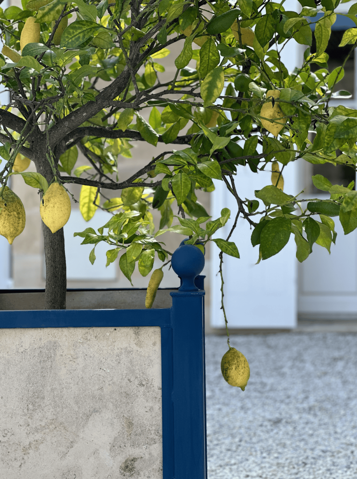 Inside the Making of Our French Wallpaper Collection - Centered by Design